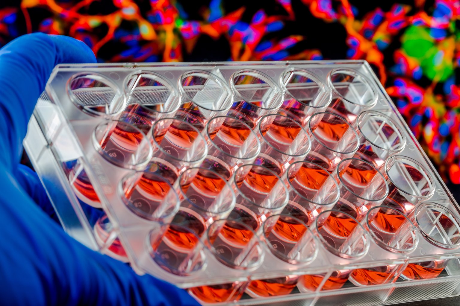 The new standards for phenotypic screening - The Blog - Tecan