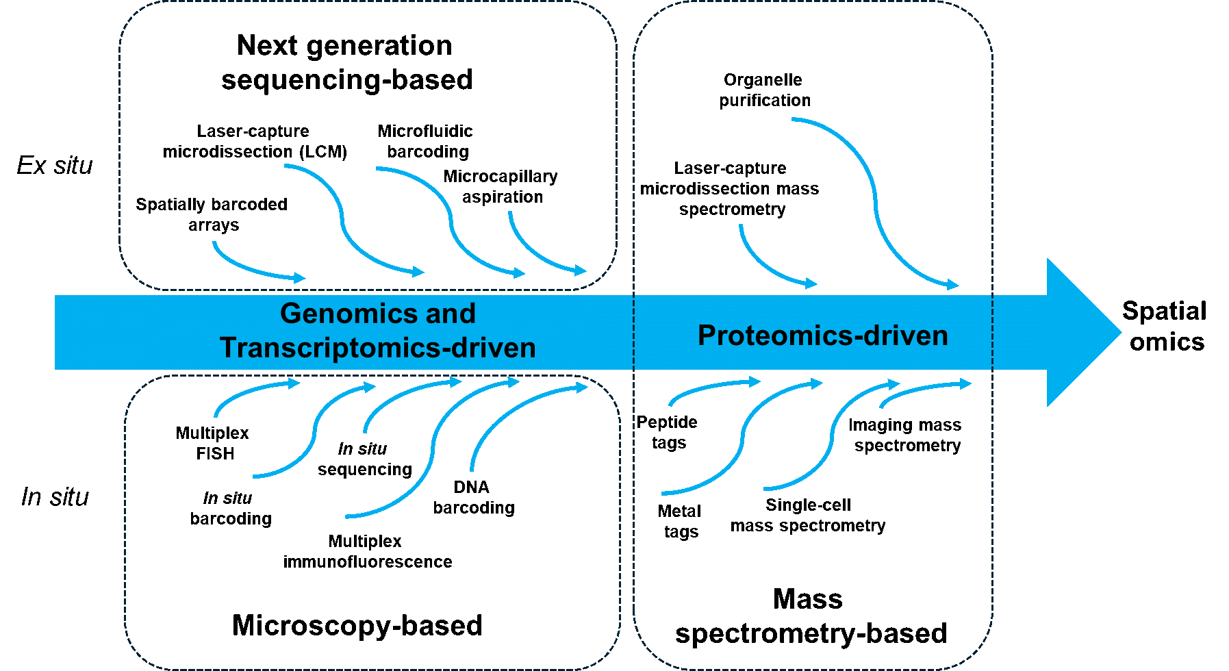 Spatial biology: a new era of discovery - The Blog - Tecan