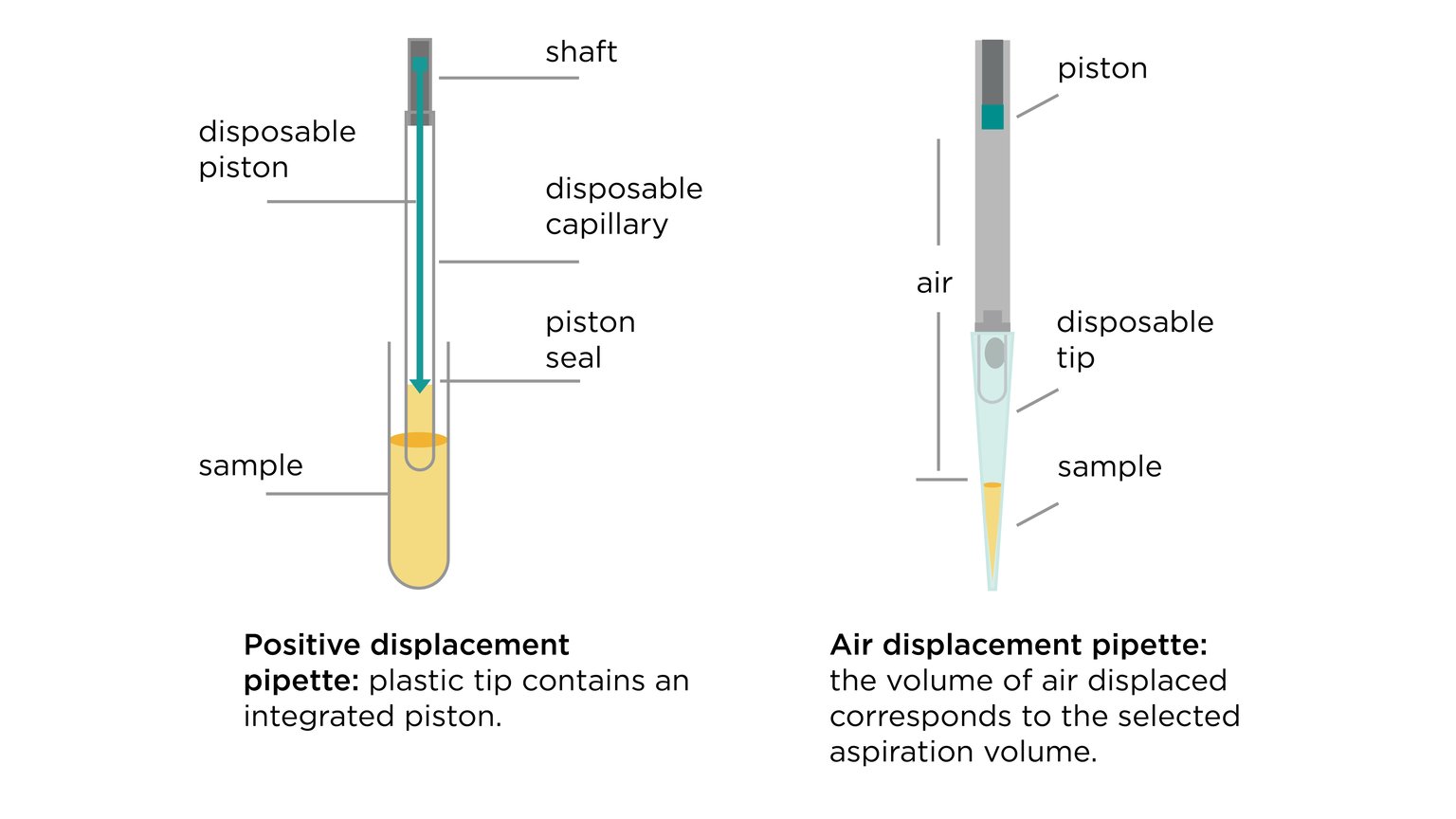 Cavro® ADP Detect: bringing a sixth sense to automated pipetting - The ...