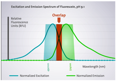 Blanks and samples show similar RFU values in fluorescence intensity ...