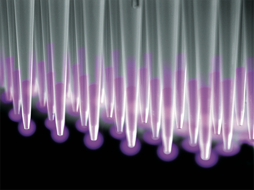 Standardized verification of pipetting performance is key to efficiency ...