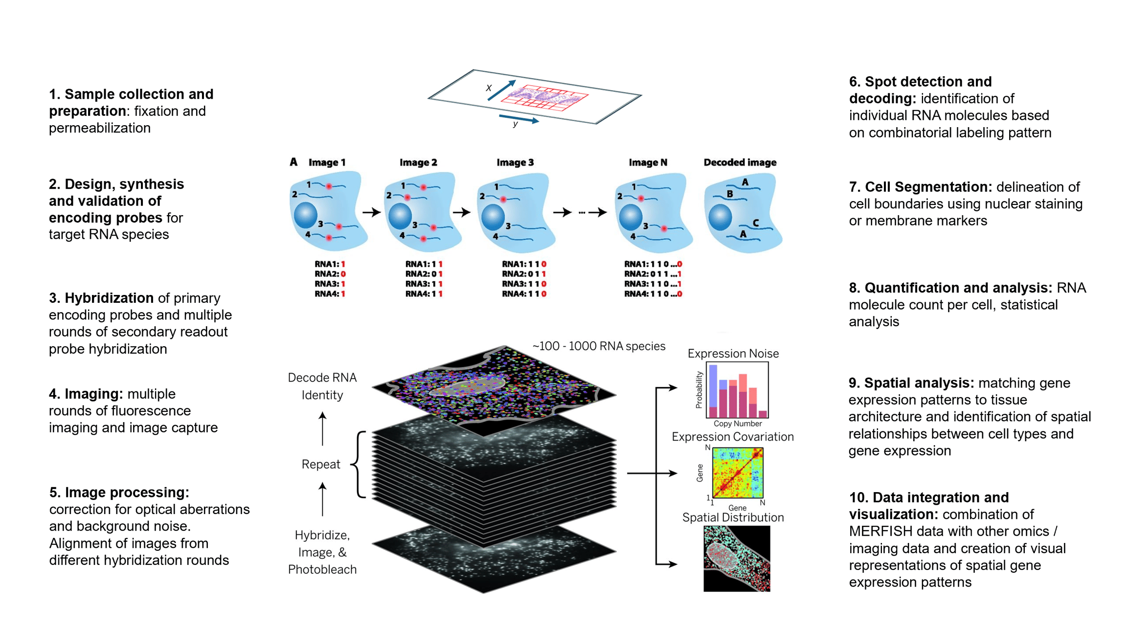 Automating spatial biology workflows: From complexity to reality - The ...