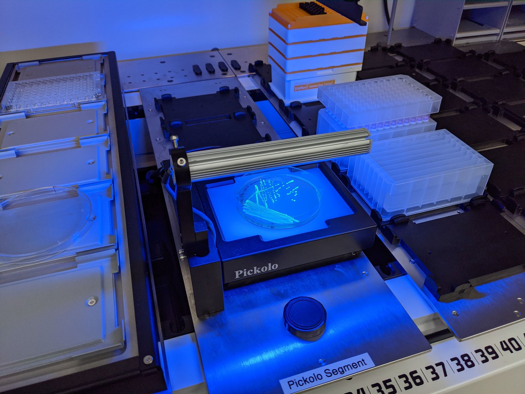 Automating microbial strain development for a sustainable future ...