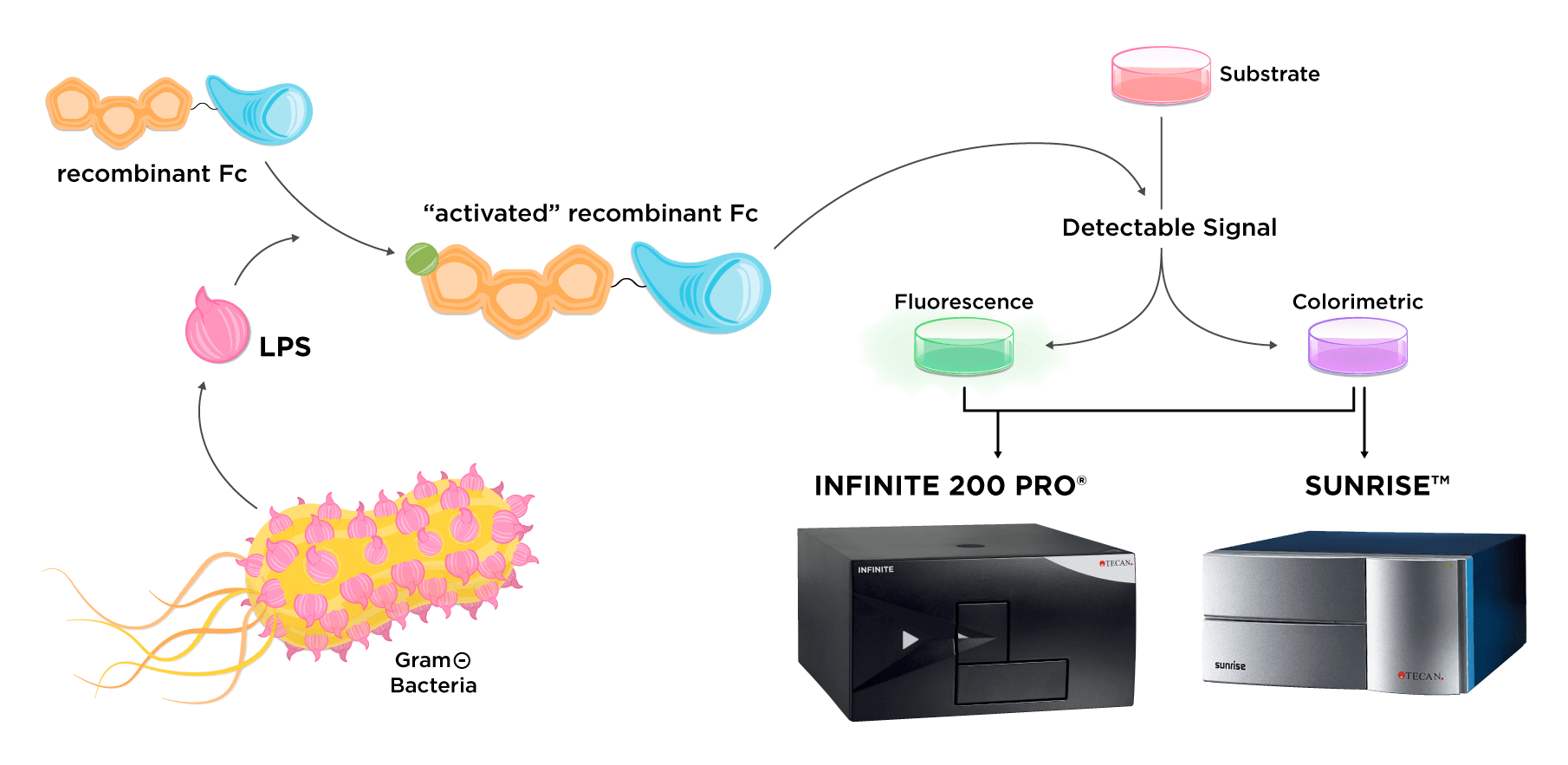 Quantifying endotoxins via absorbance or fluorescence in a multimode ...