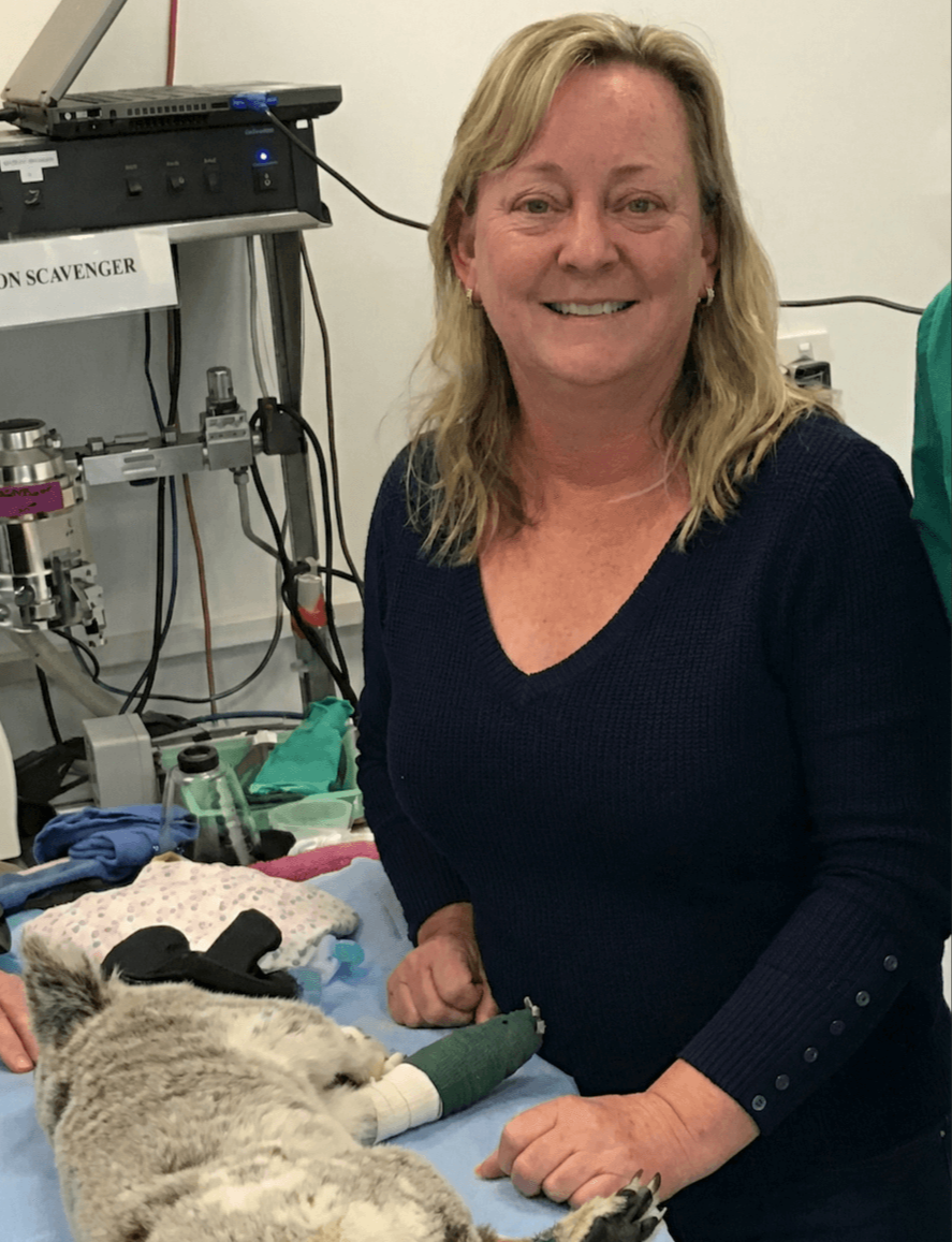 Genomics in the wild – conserving one of nature’s most loved animals ...