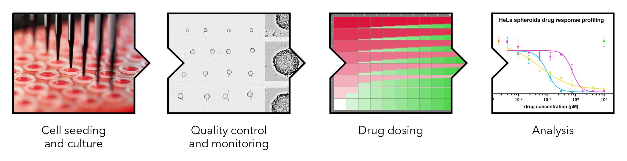 Scaling 3D cell experiments