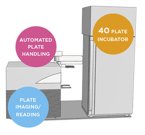 Automated cell analysis on your bench - Spark®: Motion