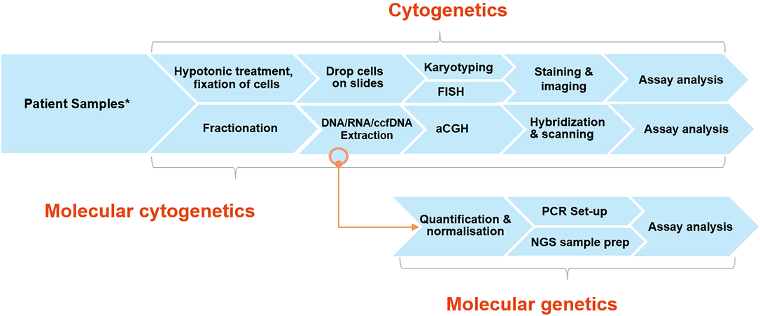 Overcoming the challenges of genomics workflows