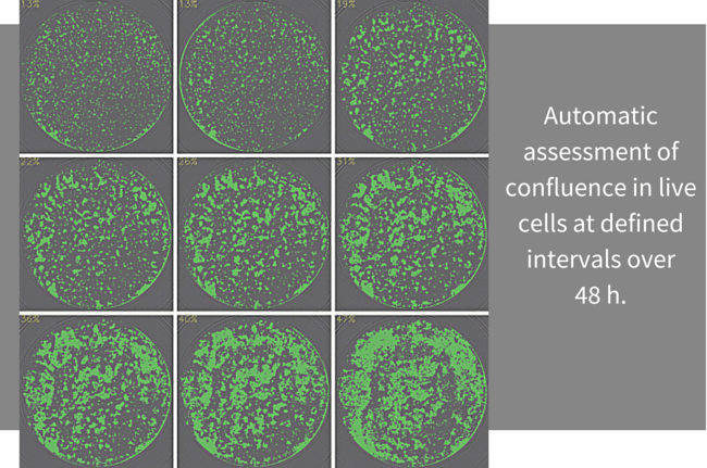 When assessing confluence for cell-based assays, variety is not the ...