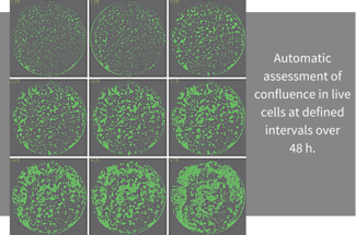 When assessing confluence for cell-based assays, variety is not the ...