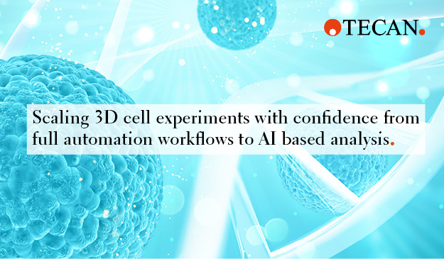 Scaling 3D cell experiments