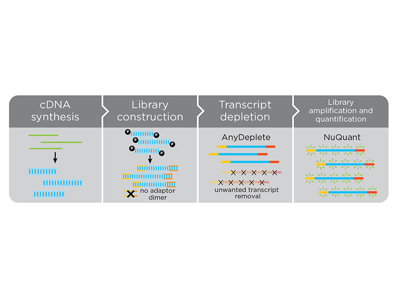 Universal Plus Total RNA-Seq Library Preparation Kit - Tecan Genomics