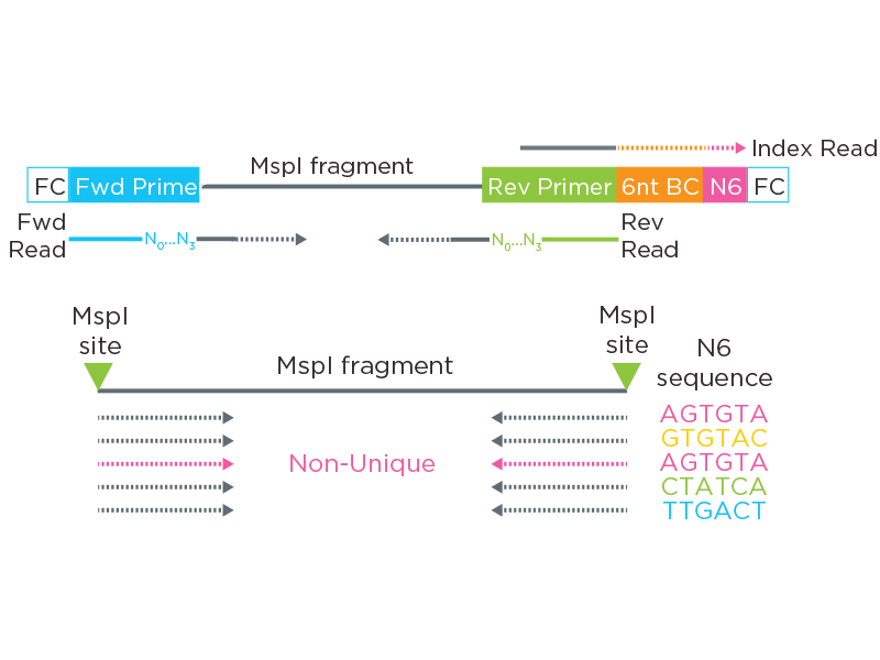 Ovation® Ultralow V2 DNA-Seq Library Preparation Kit - Tecan Genomics