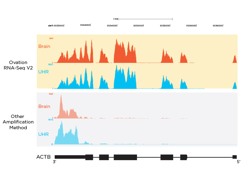 Ovation® RNA-Seq System V2 - Tecan Genomics
