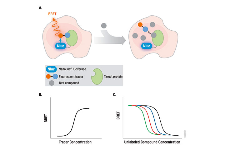 Plate reader Infinite 200 PRO