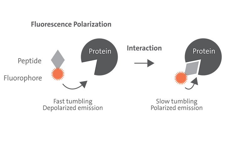 Infinite® 200 PRO酶标仪
