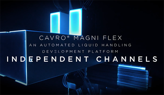 Cavro Magni Flex automated liquid handling development platform ...